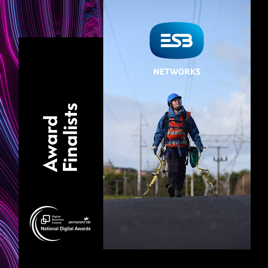 ESB Networks Finalists at DBI Awards - WONDR - A Digital Product Practice