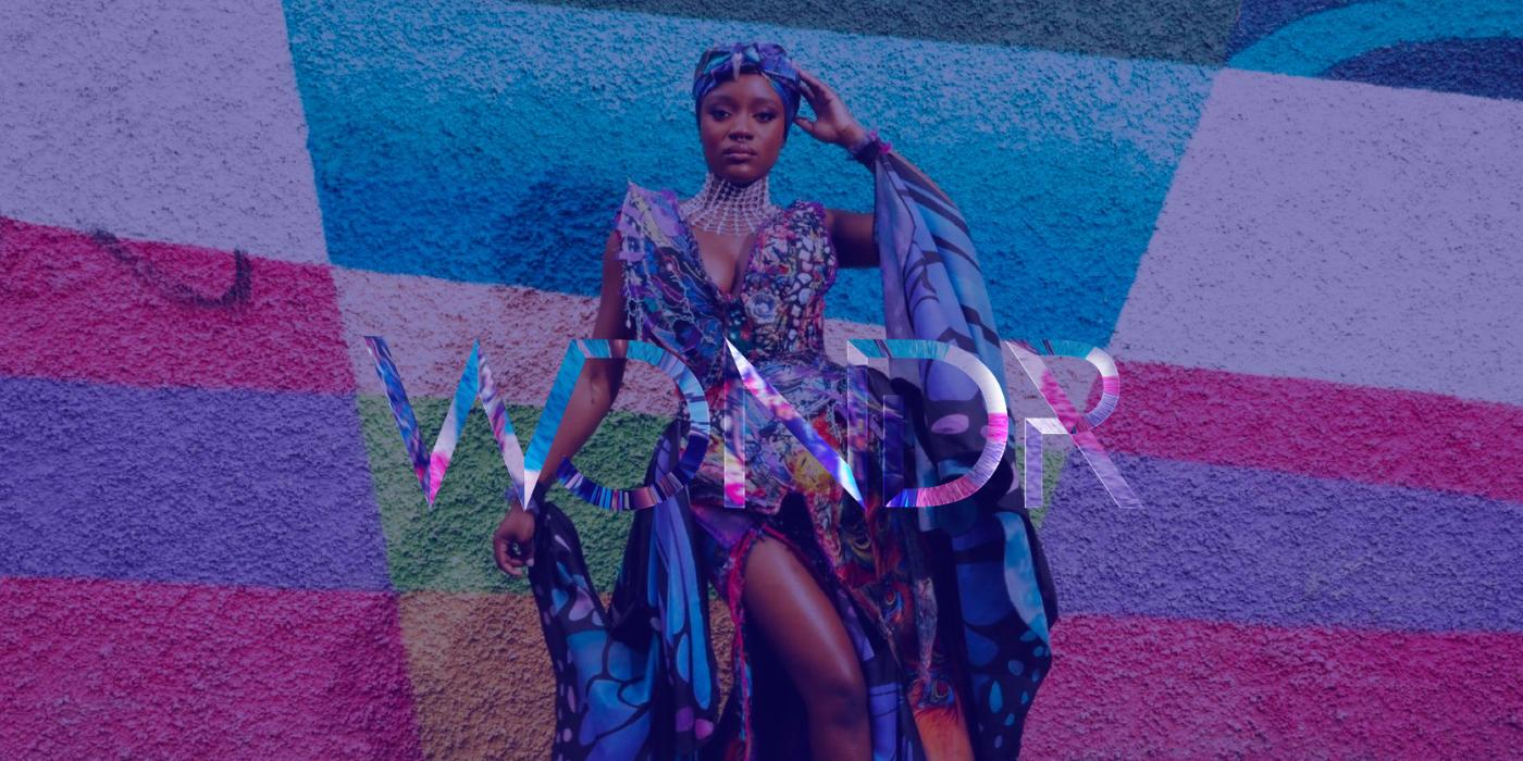 Shaping the Future of DCCI's Digital Presence - WONDR - A Digital ...